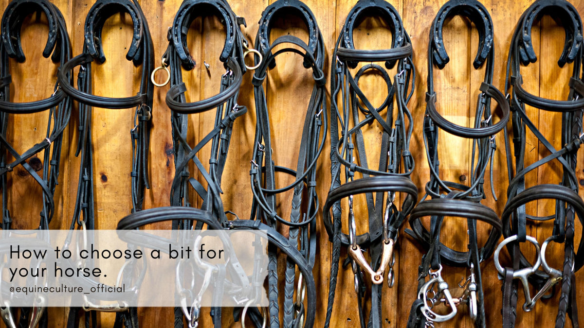 How to choose the correct bit for your horse. – Equine Culture